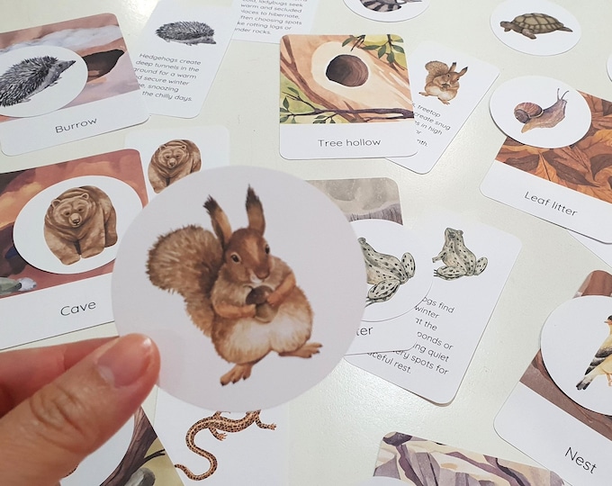 Animals Matching Skin Pattern Learning Game, Toddler, Pre-k ...