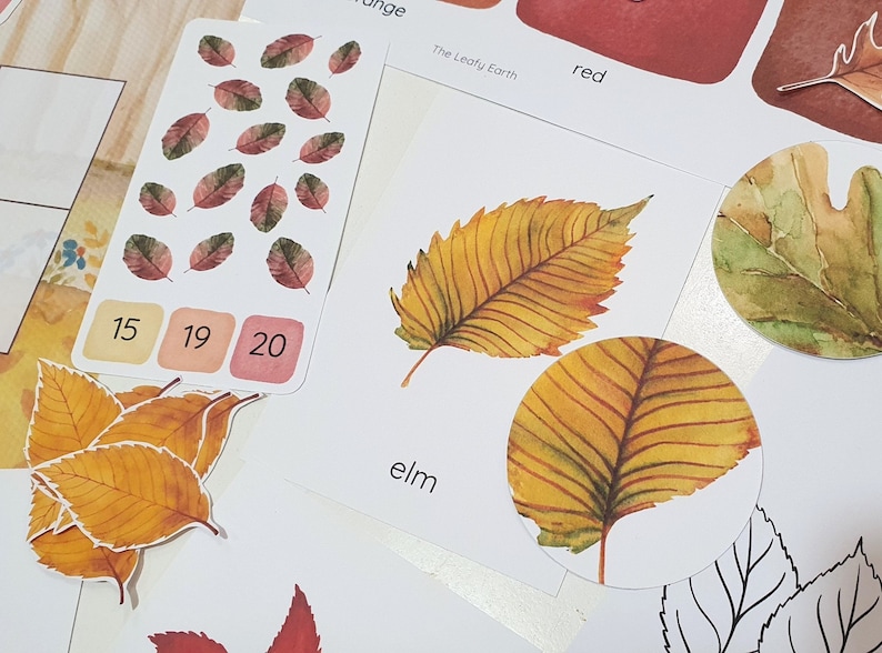 Autumn Leaf Activity Pack, Leaf Unit Study, Autumn Color Sorting, Leaf ...
