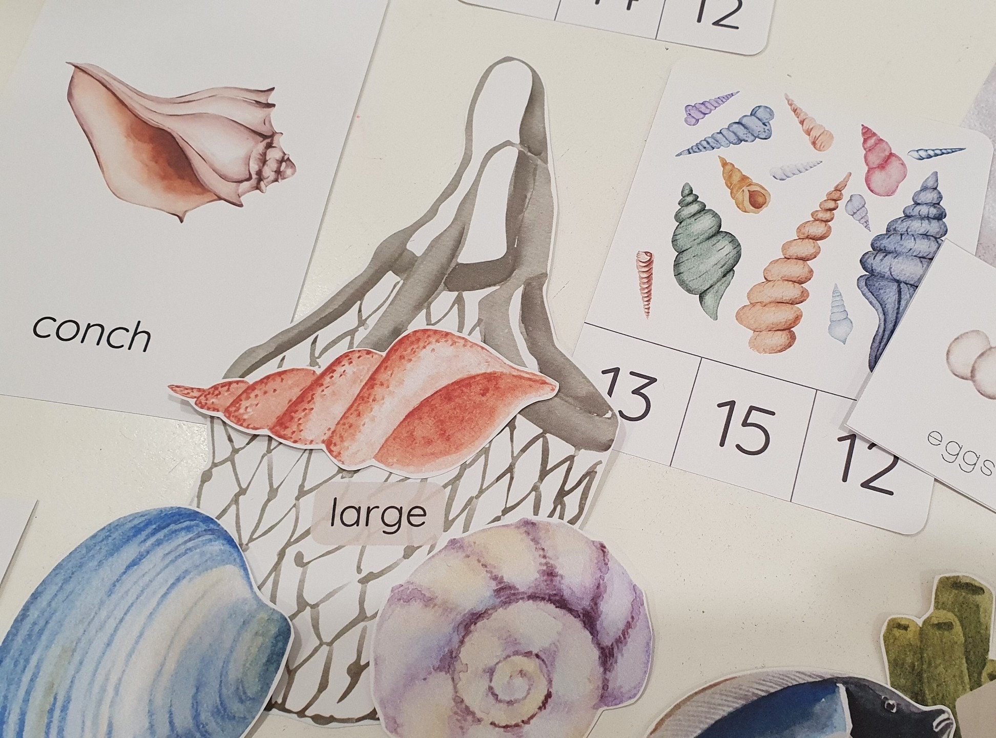 Marine Life Activity Pack, Sea Animal Unit Study, Turtle Life Cycle ...