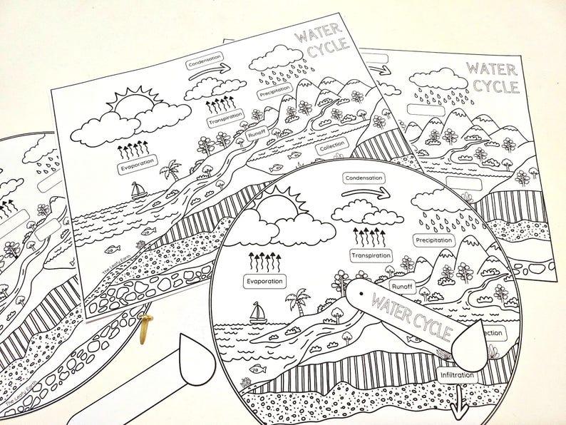 Water Cycle Wheel and Poster Coloring, DIY Kids Paper Crafts, Kids ...