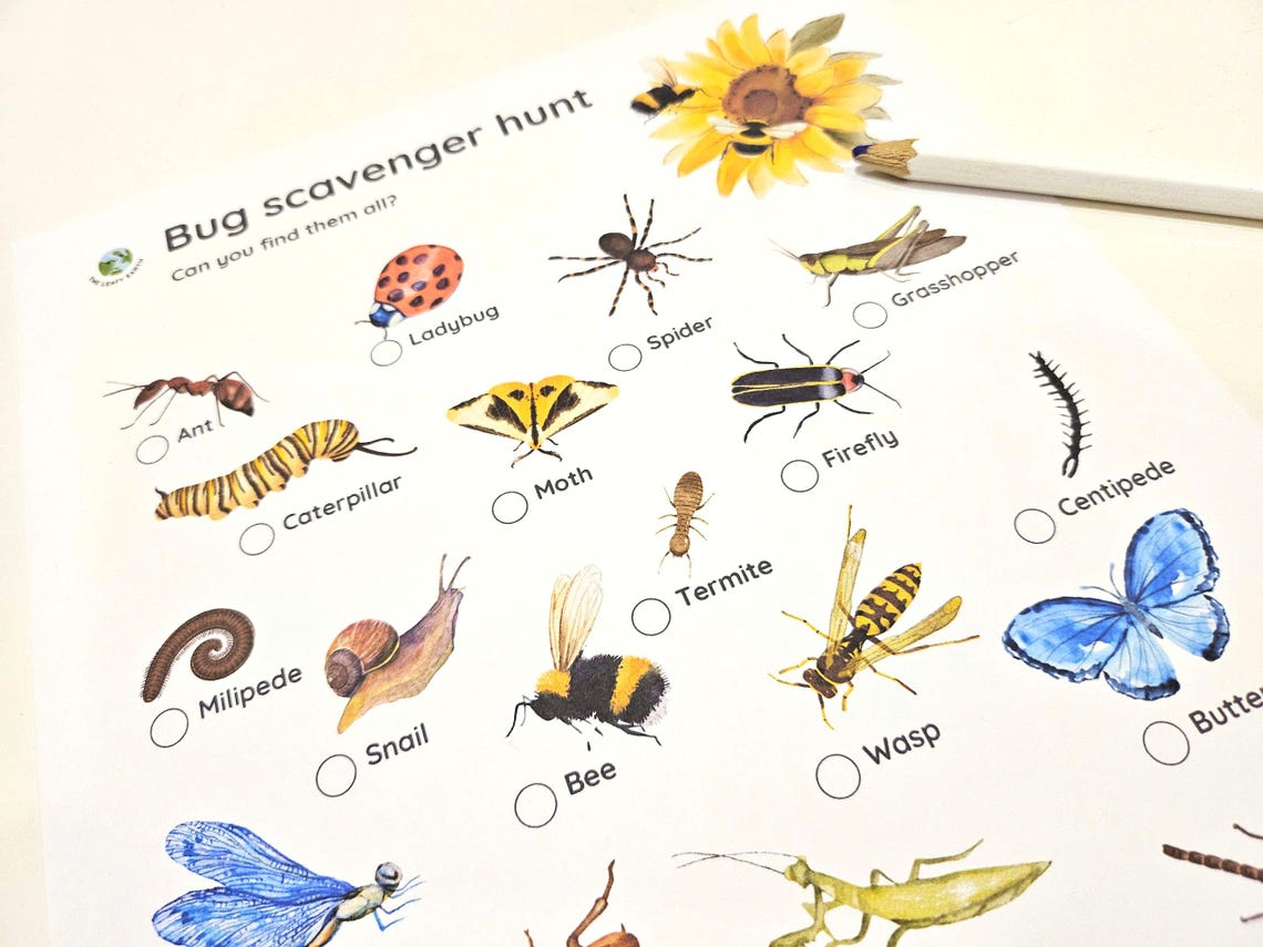Bug Scavenger Hunt, Printable Nature Scavenger Hunt, Camping Activities ...