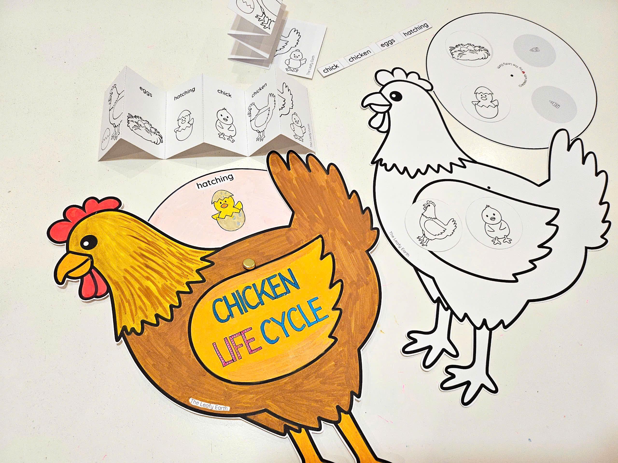 Chicken Life Cycle Coloring Activity, Wheel and Foldable, DIY Kids ...