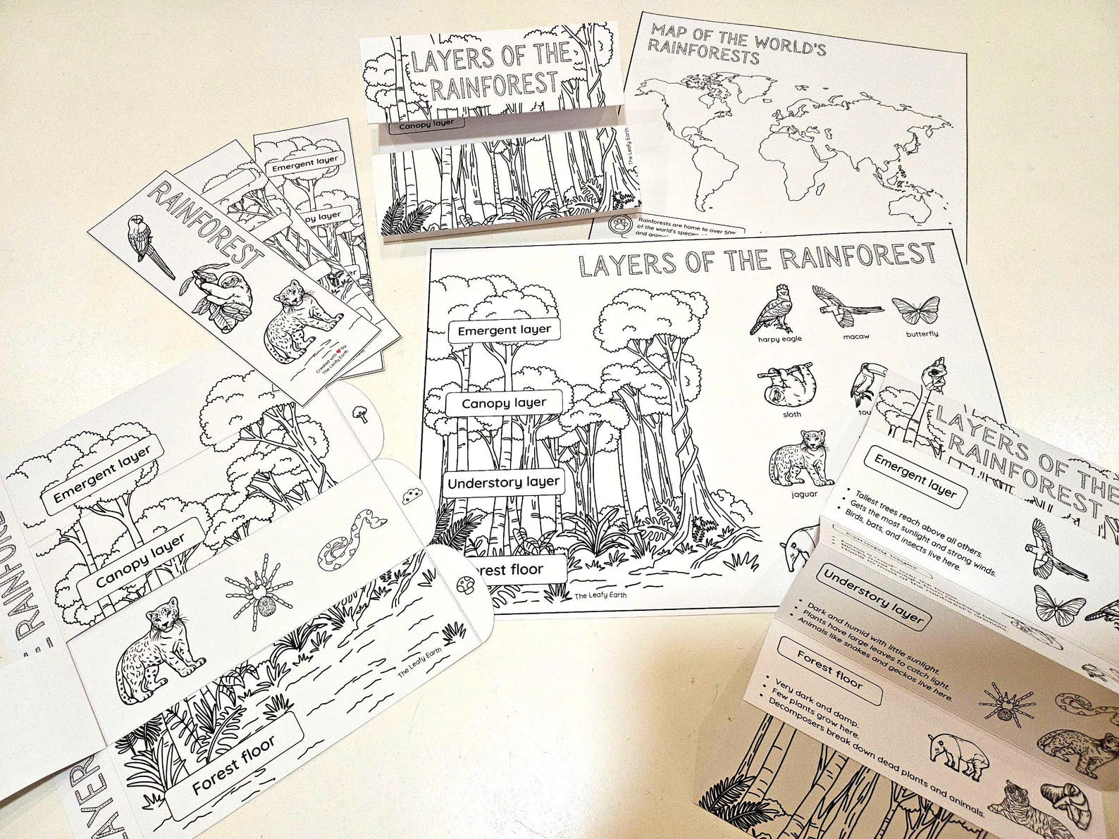 Layers of the Rainforest Poster, Flipbook, Foldable, Forest Map ...
