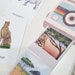 Build the Australian Habitat, Printable Bushland Diorama, Kangaroo and ...