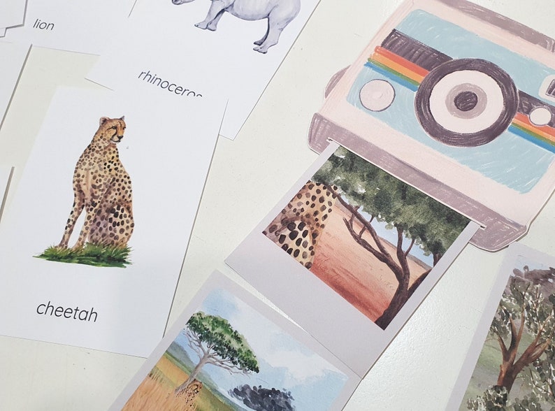 Safari Animal Find and Match Game, Animal Pattern Cards, Savanna Animal ...