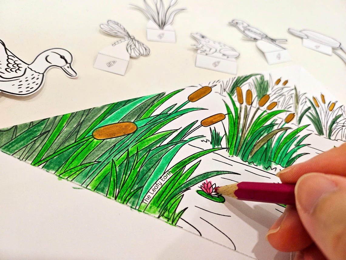 Pond Habitat Coloring Triorama, Wetland Scene, DIY Kids Habitat Crafts ...