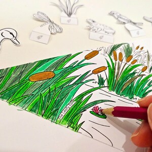 Pond Habitat Coloring Triorama, Wetland Scene, DIY Kids Habitat Crafts ...