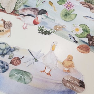 Pond Dipping Dramatic Playset, Pond Unit Study, Frog Life Cycle ...