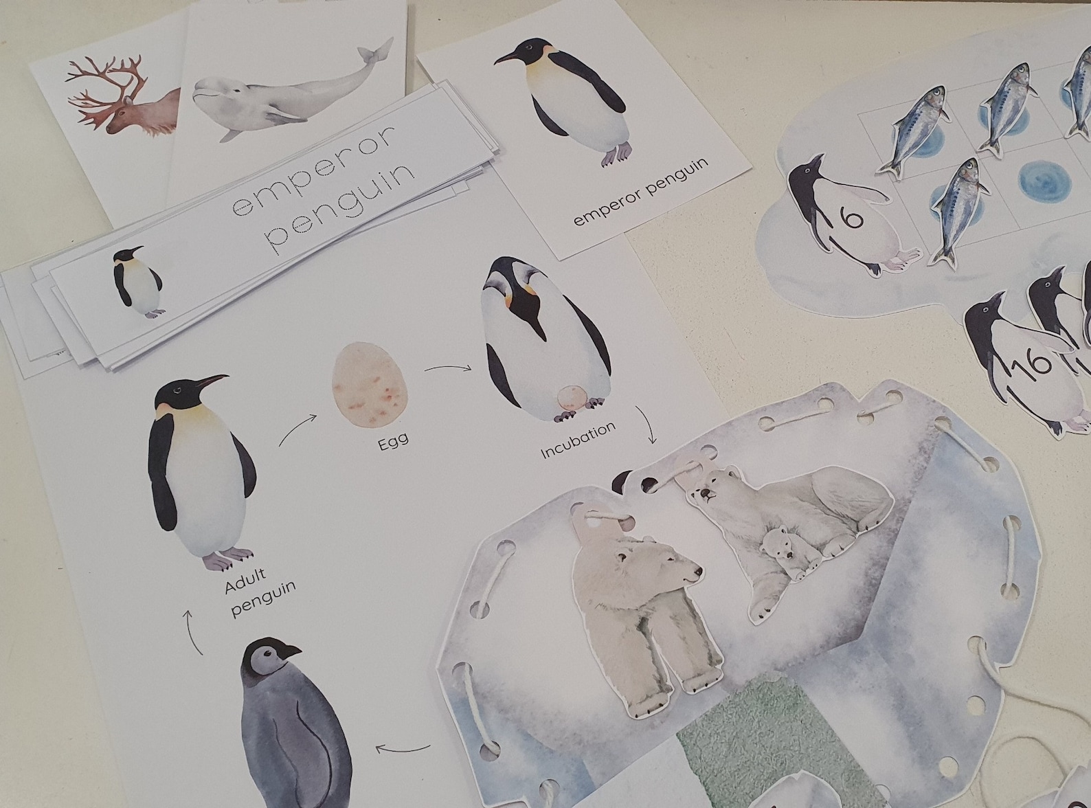 Polar Animals Activity Pack, Arctic and Antarctica Unit, Penguin Board ...