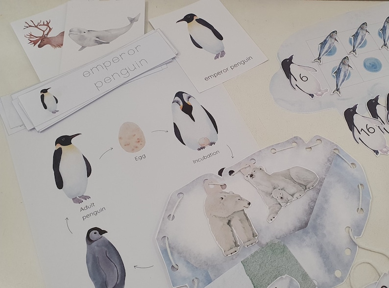 Polar Animals Activity Pack, Arctic and Antarctica Unit, Penguin Board ...