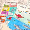 Salmon Life Cycle Cards, Life Cycle Study, Homeschool Science, Salmon ...
