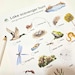 Lake Scavenger Hunt, Printable Nature Scavenger Hunt, Camping ...