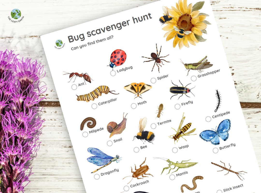 Bug Scavenger Hunt, Printable Nature Scavenger Hunt, Camping Activities ...