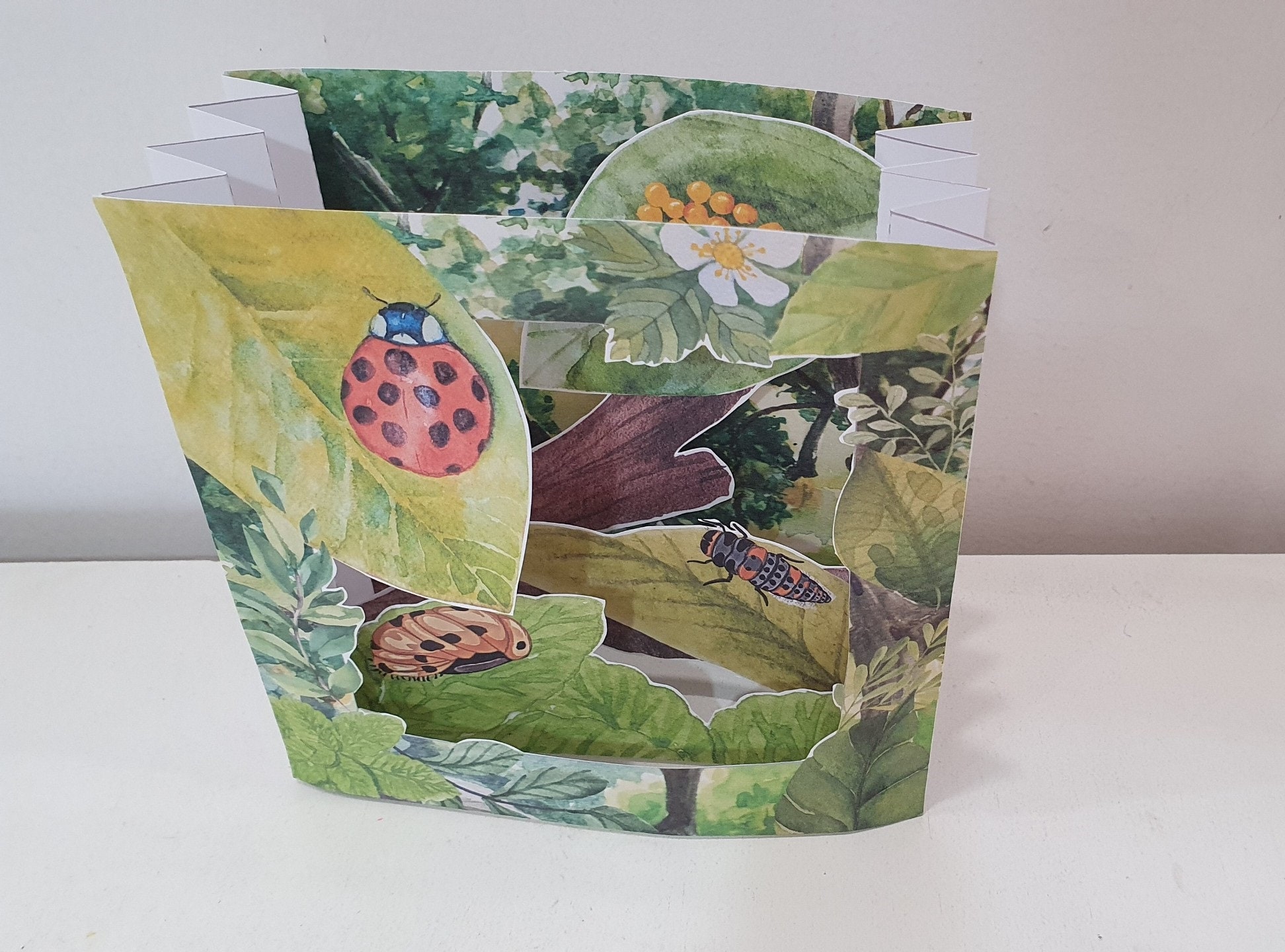 Ladybug Life Cycle Pop up Printable, Greeting Card, DIY Kid Paper ...