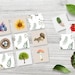 Nature Memory Match Game, Nature Memory Game, Printable Game, Matching ...