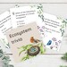 Nature Number Flashcards 1-20, Preschool Printables, Homeschool ...