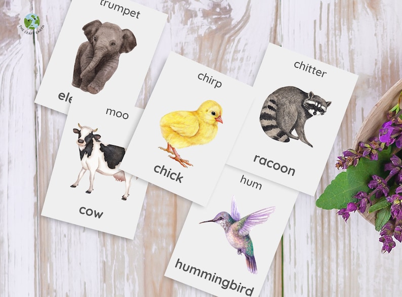 28 Animal Sound Flashcards, Movement Activity, Action Cards, Circle ...
