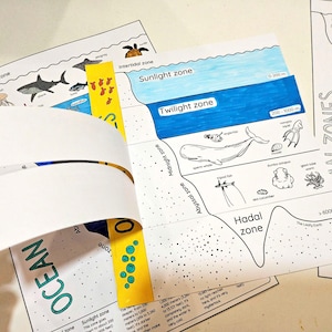 Ocean Zones Poster and Flipbook, 5 Ocean Layers, Habitat Craft, Kids ...
