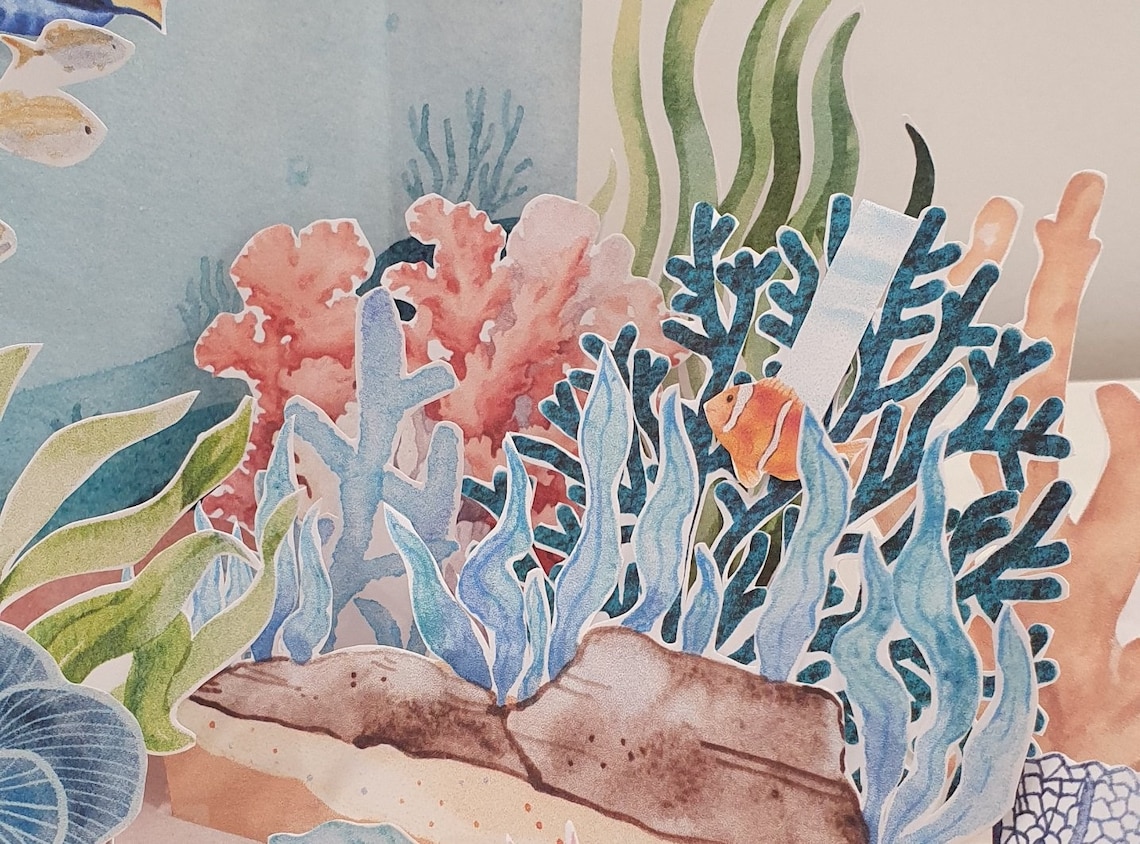 Build a Coral Reef Printable Coral Reef Diorama Ocean Play - Etsy