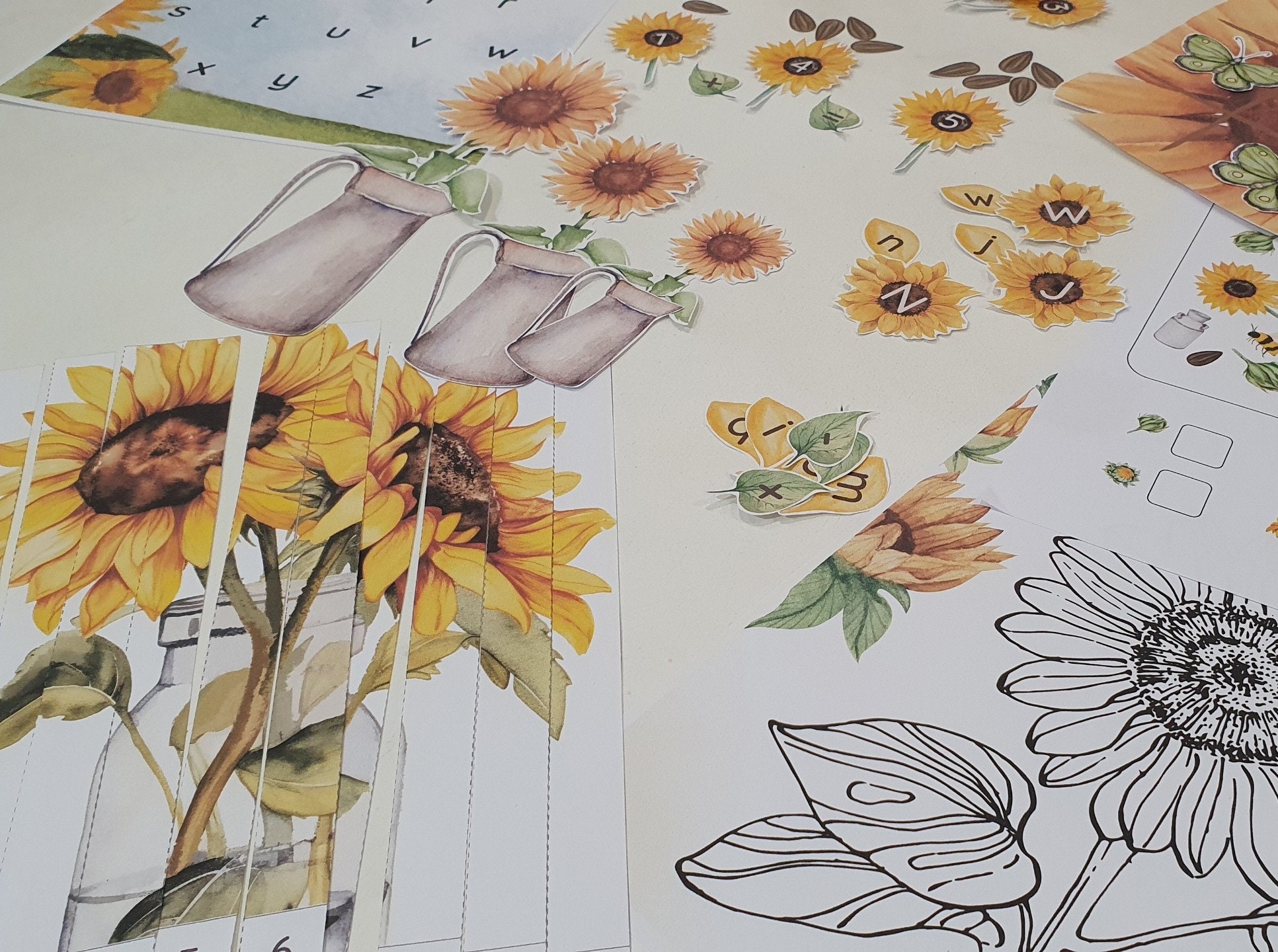 Sunflower Activity Pack, Sunflower Unit, Sunflower Morning Basket ...