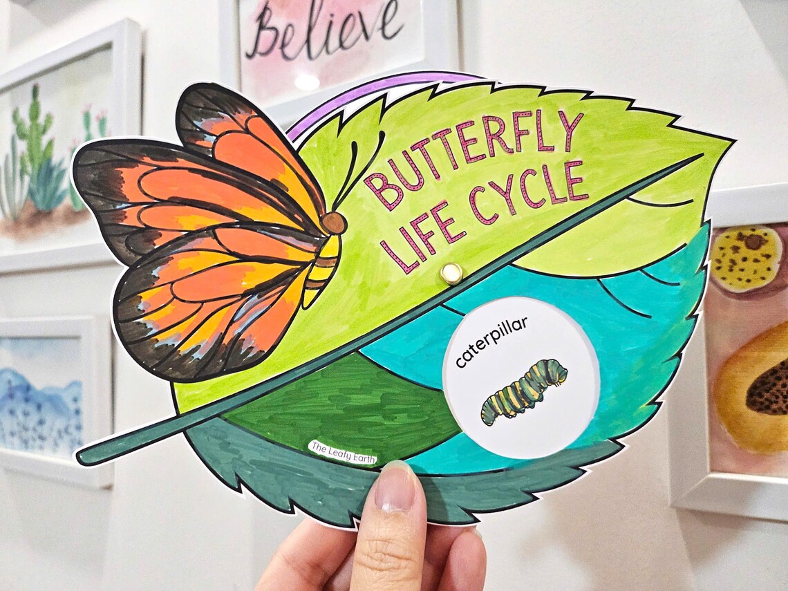 Butterfly Life Cycle Coloring Activity, Wheel and Foldable, Caterpillar ...