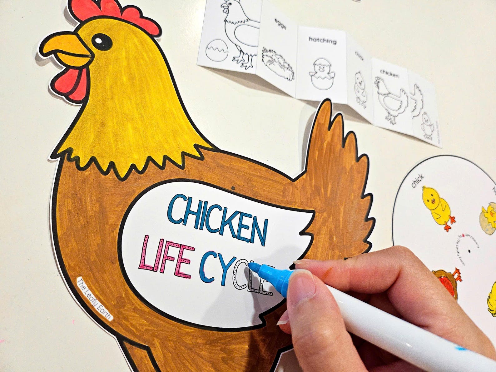 Chicken Life Cycle Coloring Activity, Wheel and Foldable, DIY Kids ...