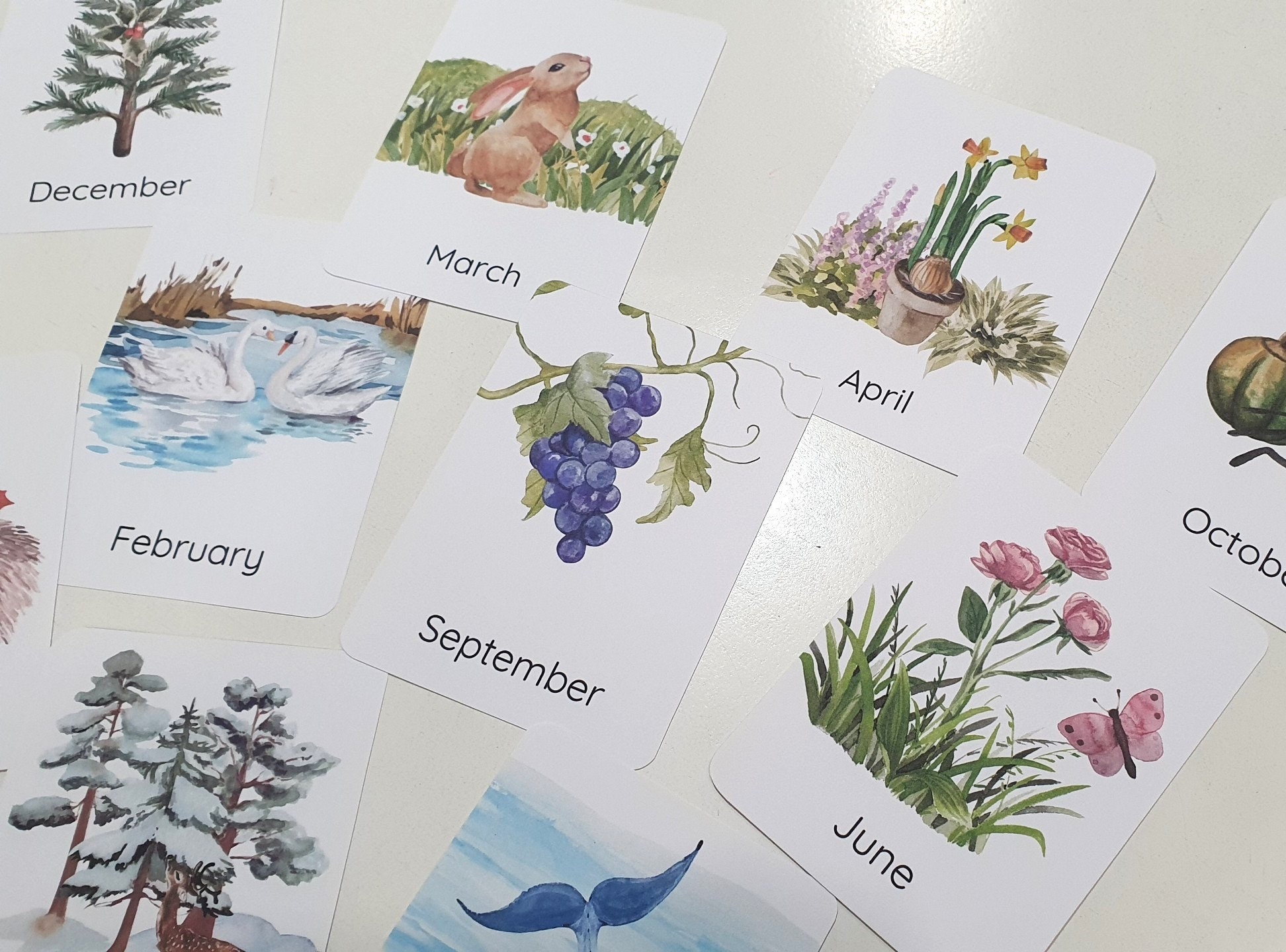 Months of the Year Cards, Nature Seasonal Flashcards, Toddler Morning ...