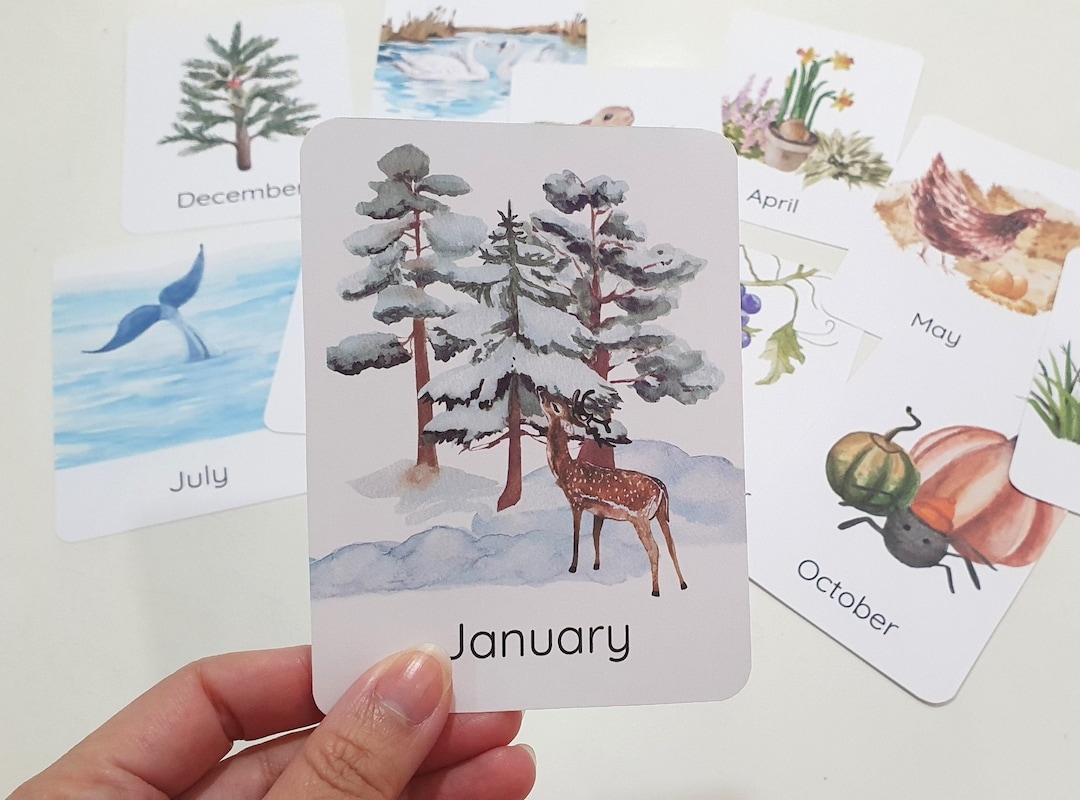 Months of the Year Cards, Nature Seasonal Flashcards, Toddler Morning ...