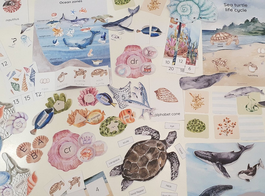 Marine Life Activity Pack, Sea Animal Unit Study, Turtle Life Cycle ...