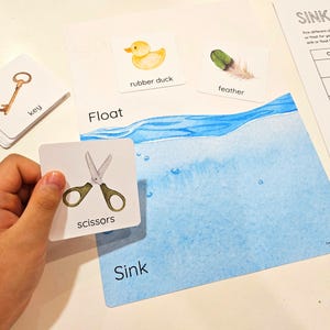 Sink or Float Sorting Game, Prediction and Observation Worksheet ...