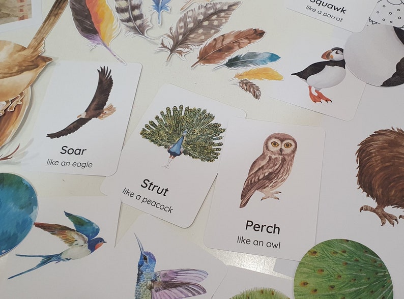 Bird Activity Pack, Bird Movement Cards, Bird Feather Pattern Matching ...