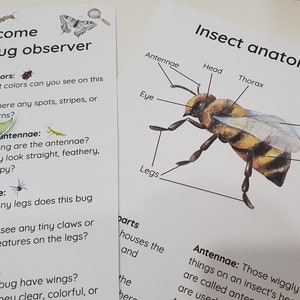 Bug Explorer Dramatic Playset, Entomology Lab Pretend Play, Insect ...