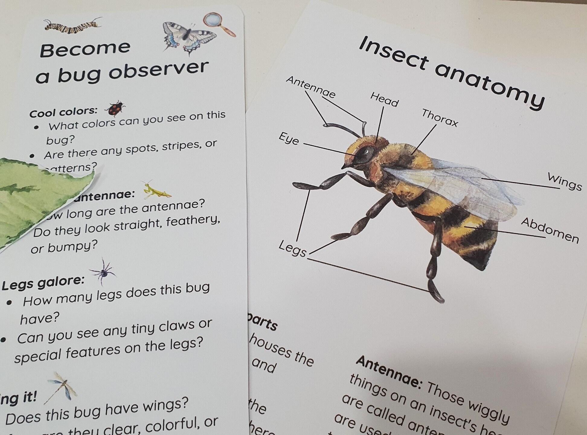 Bug Explorer Dramatic Play Set, Entomology Lab Pretend Play, Insect ...