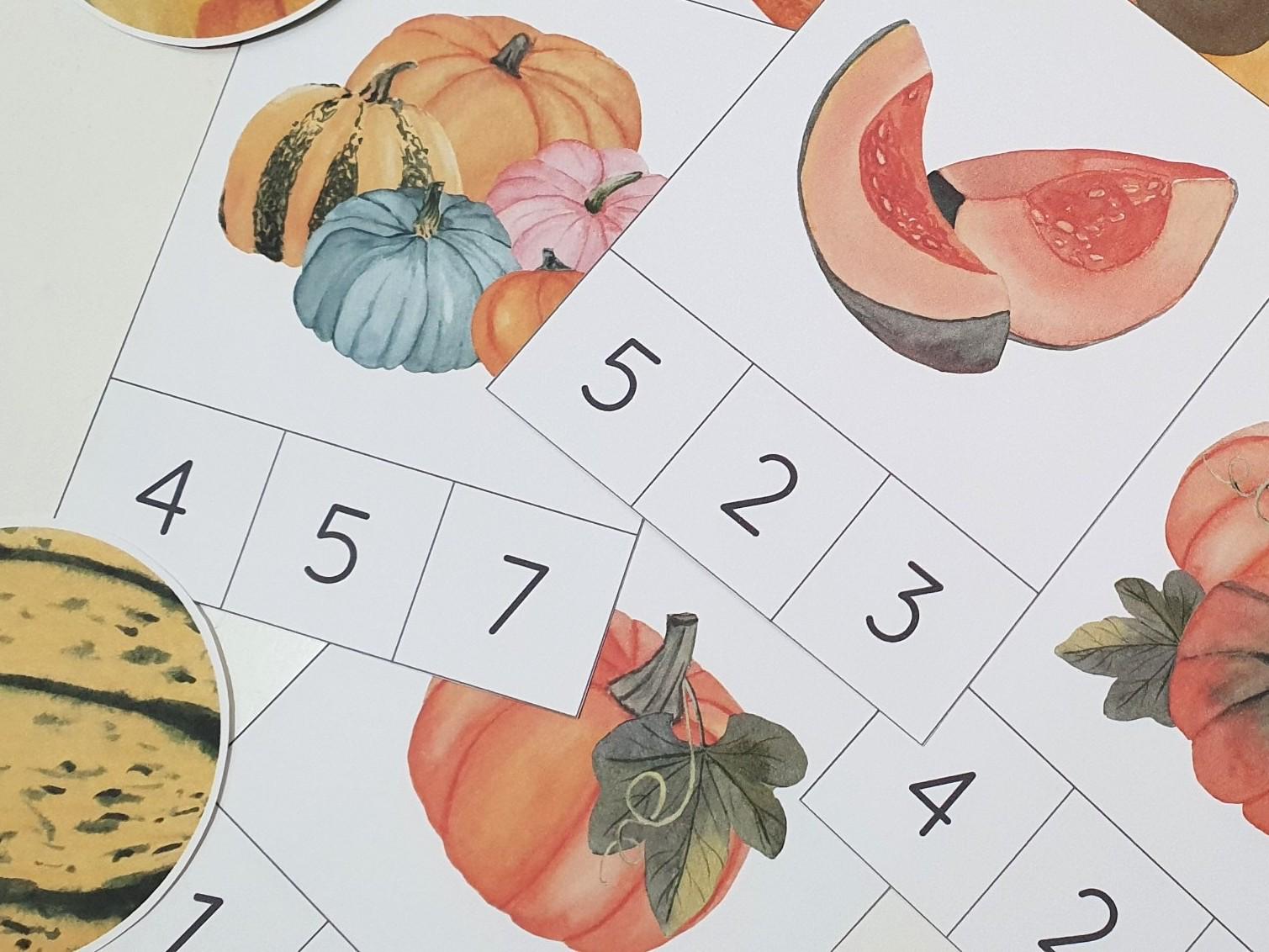Pumpkin Activity Pack, Pumpkin Unit Study, Anatomy of a Pumpkin ...
