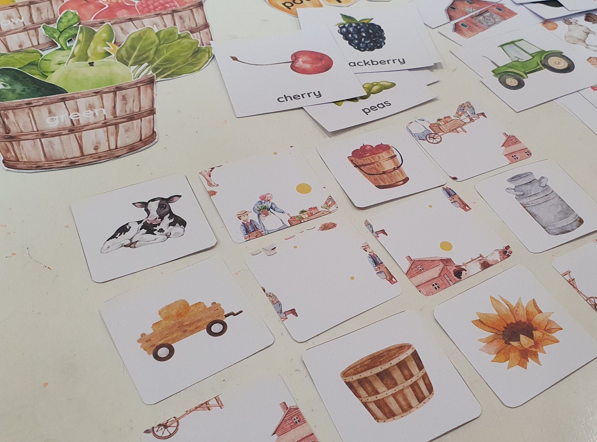 Farm Activity Pack, 48 Fruit and Vegetable Flashcards, Building CVC ...