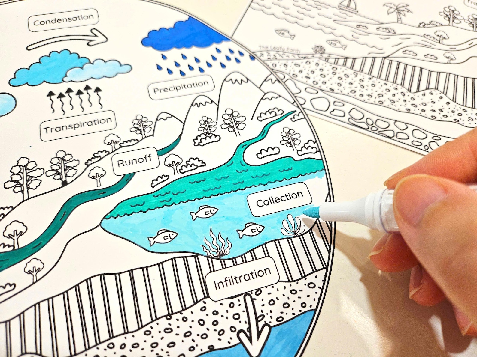 Water Cycle Wheel and Poster Coloring, DIY Kids Paper Crafts, Kids ...
