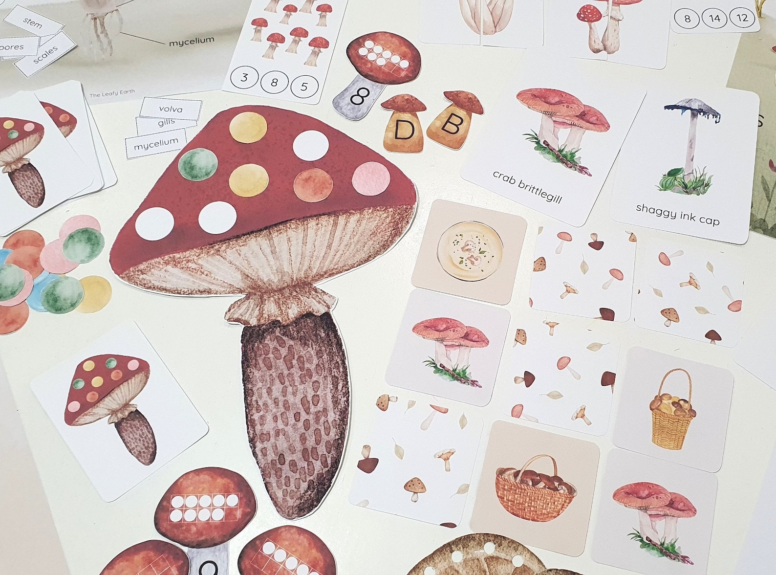 Mushroom Activity Pack, Mushroom Flashcards, Montessori Autumn ...
