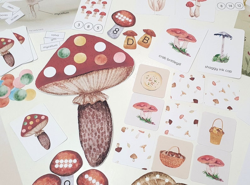 Mushroom Activity Pack, Mushroom Flashcards, Montessori Autumn ...