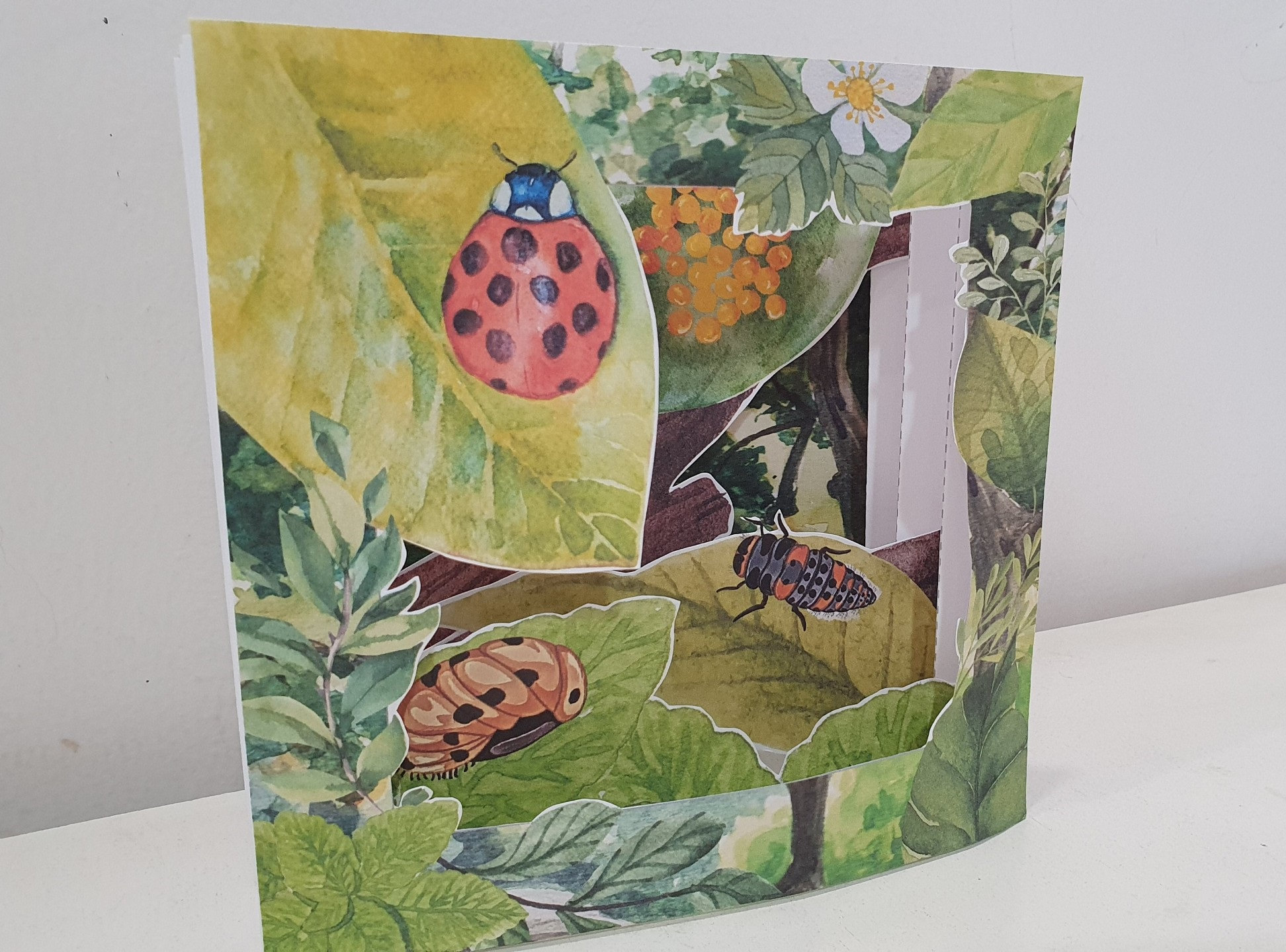 Ladybug Life Cycle Pop up Printable, Greeting Card, DIY Kid Paper ...