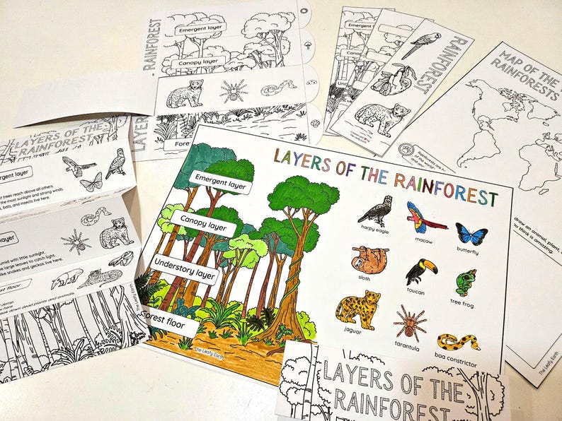 Layers of the Rainforest Poster, Flipbook, Foldable, Forest Map ...