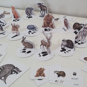 Woodland Animal Track Matching Game, Animal Tracks Cards, Forest Animal ...