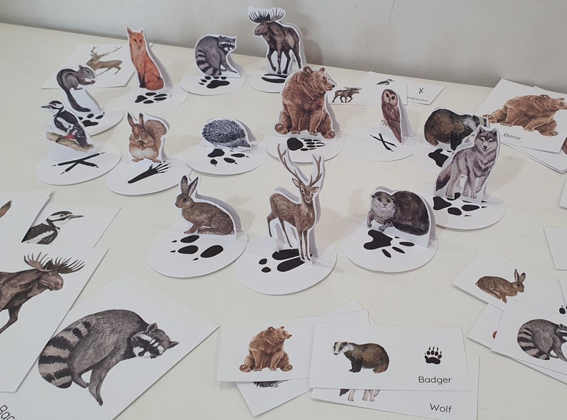 Woodland Animal Track Matching Game, Animal Tracks Cards, Forest Animal ...