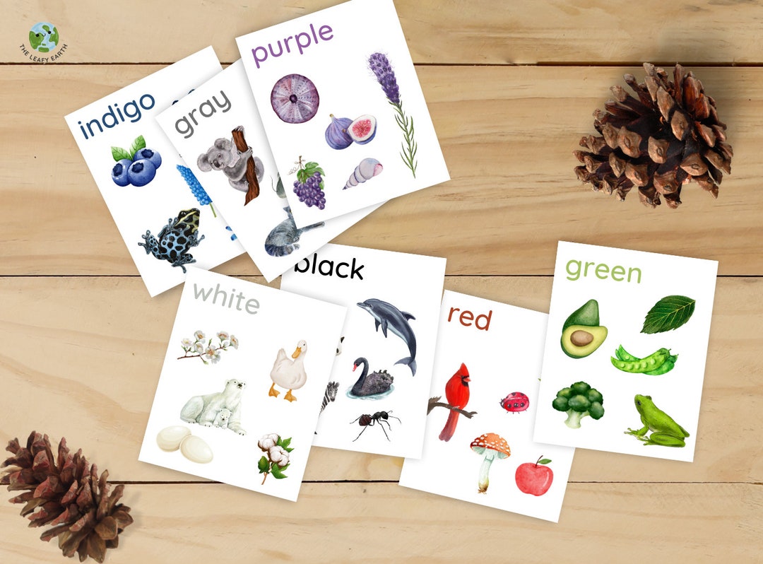 12 Nature Themed Color Flashcards, Color Flashcards, Educational ...