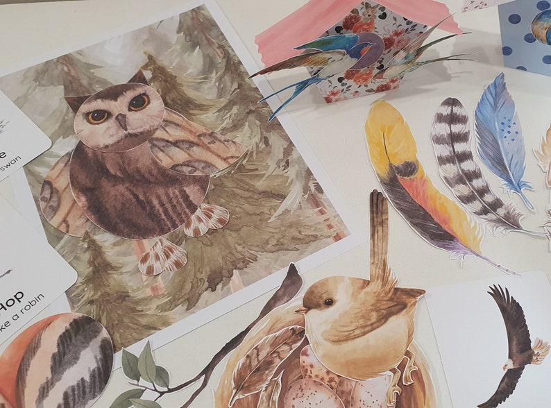 Bird Activity Pack, Bird Movement Cards, Bird Feather Pattern Matching ...