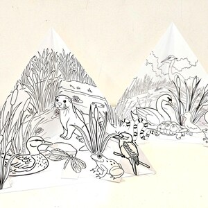Pond Habitat Coloring Triorama, Wetland Scene, DIY Kids Habitat Crafts ...