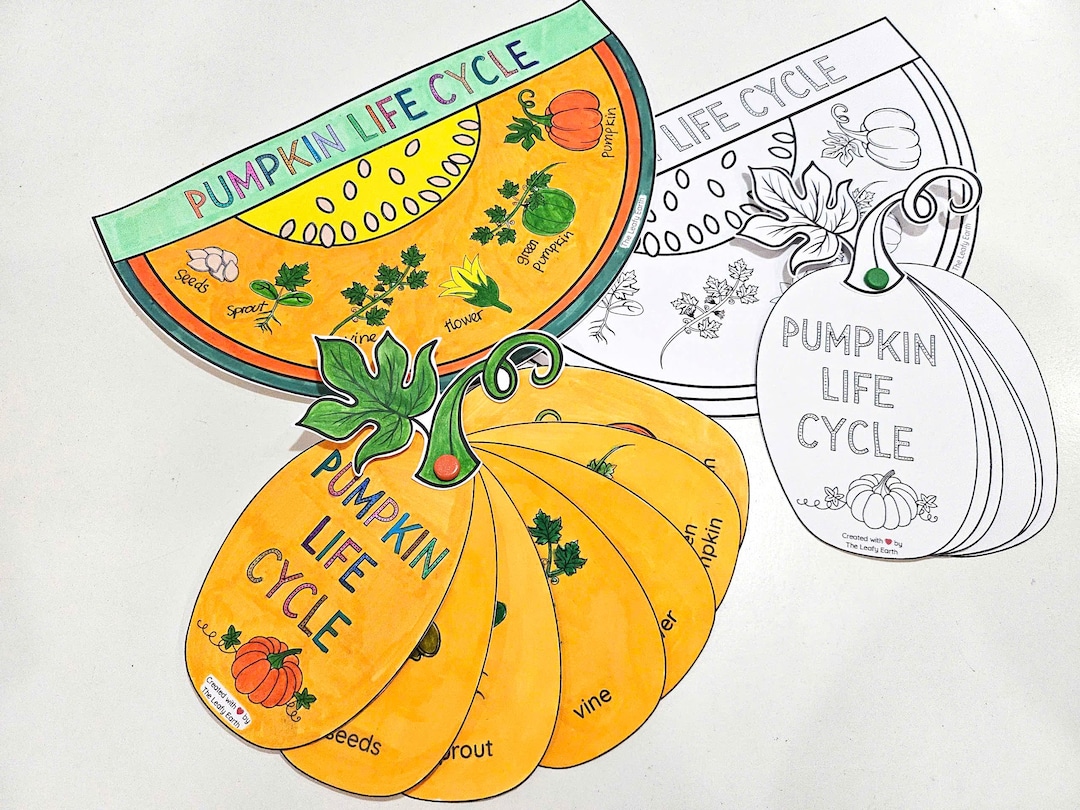 Pumpkin Life Cycle Coloring, Build a Pumpkin, Pumpkin Poster, Fall ...