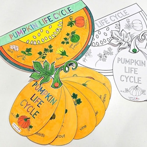 Pumpkin Life Cycle Coloring, Build a Pumpkin, Pumpkin Poster, Fall ...