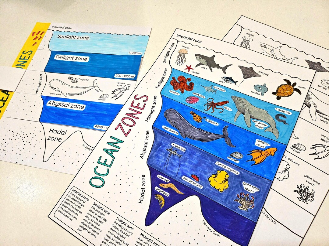 Ocean Zones Poster and Flipbook, 5 Ocean Layers, Habitat Craft, Kids ...