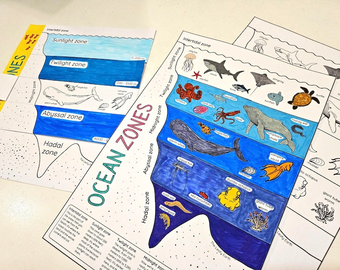 Layers of the Ocean Puzzle - Ocean Zones Wooden Puzzle - Montessori - Etsy