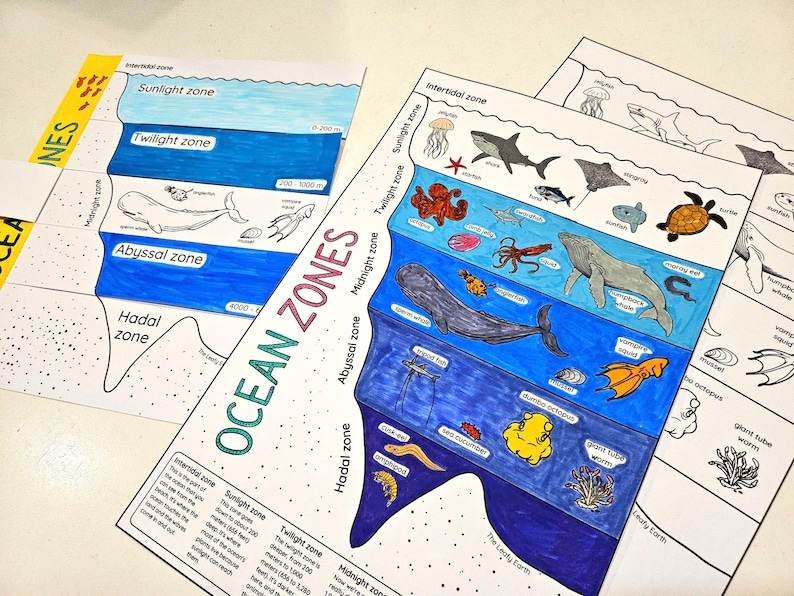 Ocean Zones Poster and Flipbook, 5 Ocean Layers, Habitat Craft, Kids ...